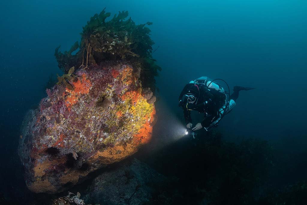 Joanna Smart's February Photo Journal: An Our World Underwater Rolex S ...