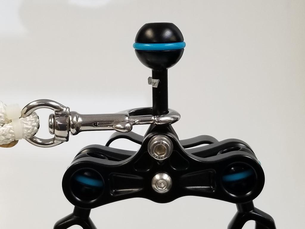 Using a Nauticam Multi-Purpose Clamp: The Best Solution to Several Equ ...